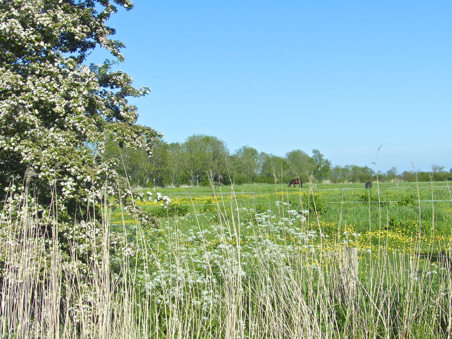 Daten & Fakten - Gemeinde Krummhörn